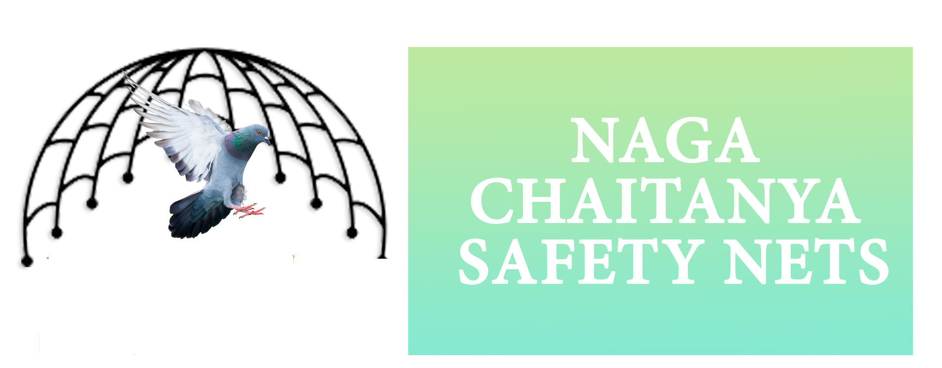 Naga Chaitanya safety nets